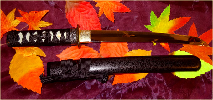 Special Offers - Samurai Store International